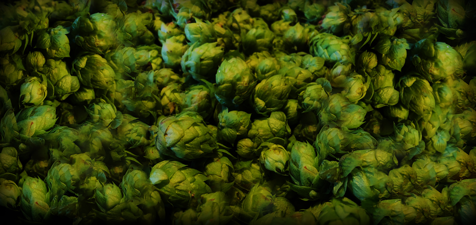 Home » Truss Brewing Company